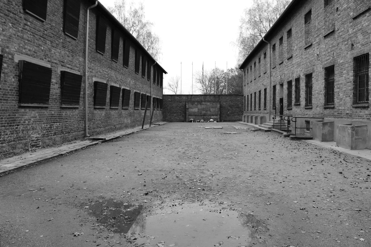 Auschwitz Geschichte & Chronologie – Stammlager, Birkenau und Monowitz